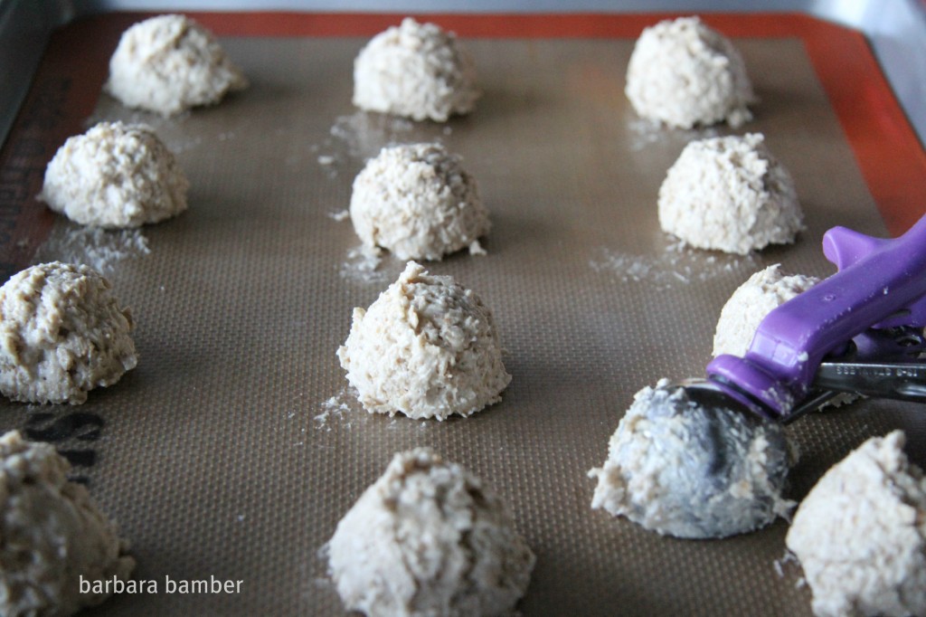 Heartland Cafe Nutri Cookies » Just a Smidgen