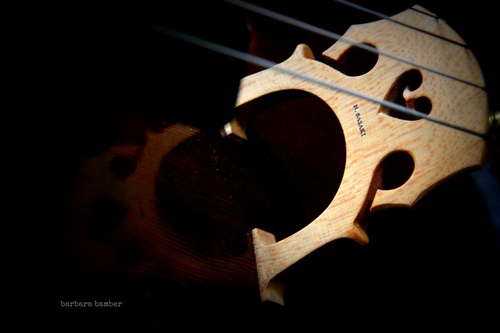 Cello Diva Chocolate Chip Cookies » Just a Smidgen