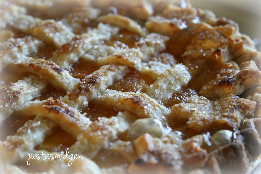 Once in a { Blue Moon } Peach Pie and a Celebration of Stars » Just a ...