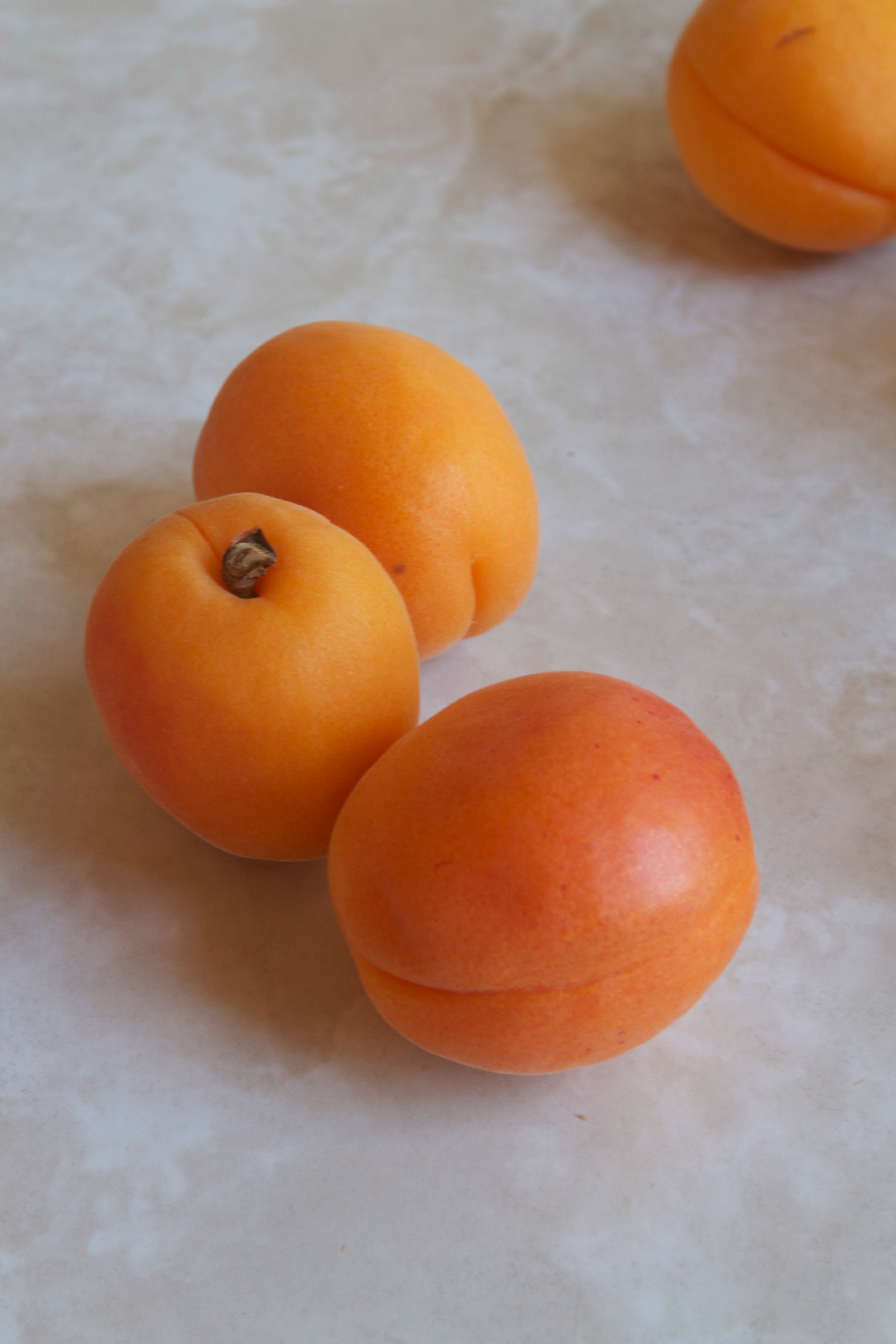 Mabel Lake Apricot Jam » Just a Smidgen