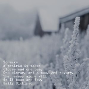 A wee quote on honey bees.. » Just a Smidgen